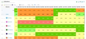 What is a Utilization Report and 5 Steps to Build an Effective One